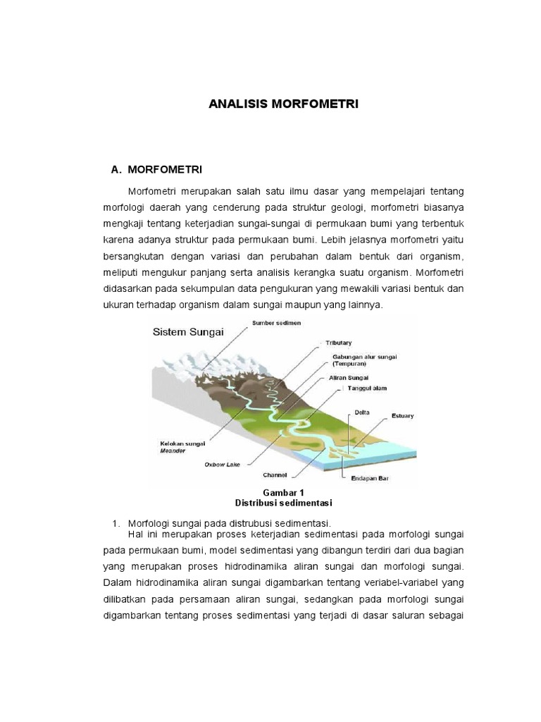 Analisis Morfometri | PDF