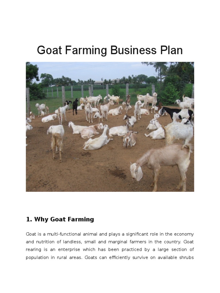 Goat Farming Project Report | PDF | Goat | Legume