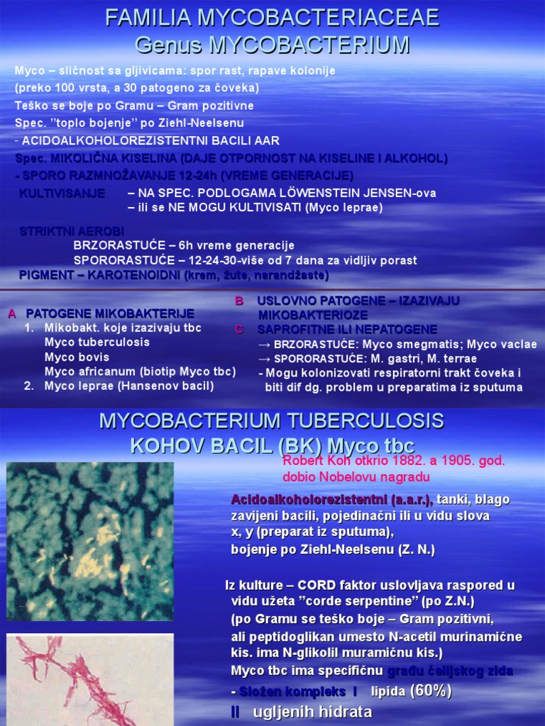 Mycobacterium | PDF