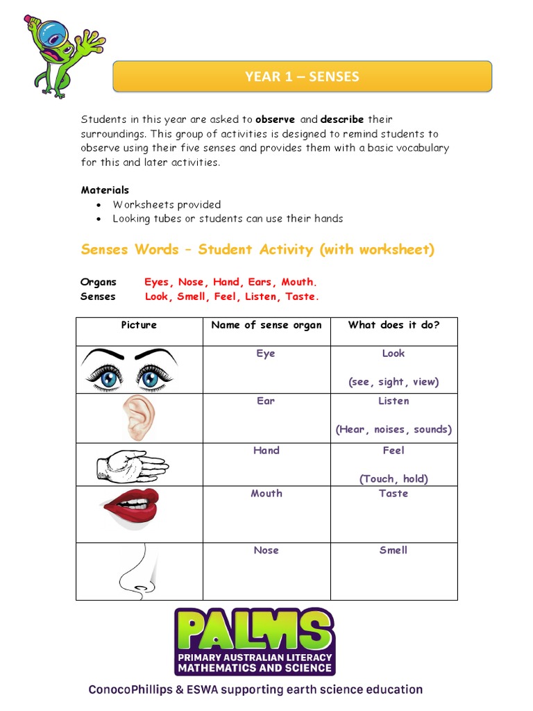 Year 1 - Senses: Senses Words - Student Activity (With Worksheet) | PDF ...