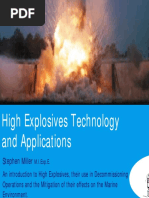 Ammonium Nitrate Porous Prill | PDF | Chemical Substances | Physical Sciences