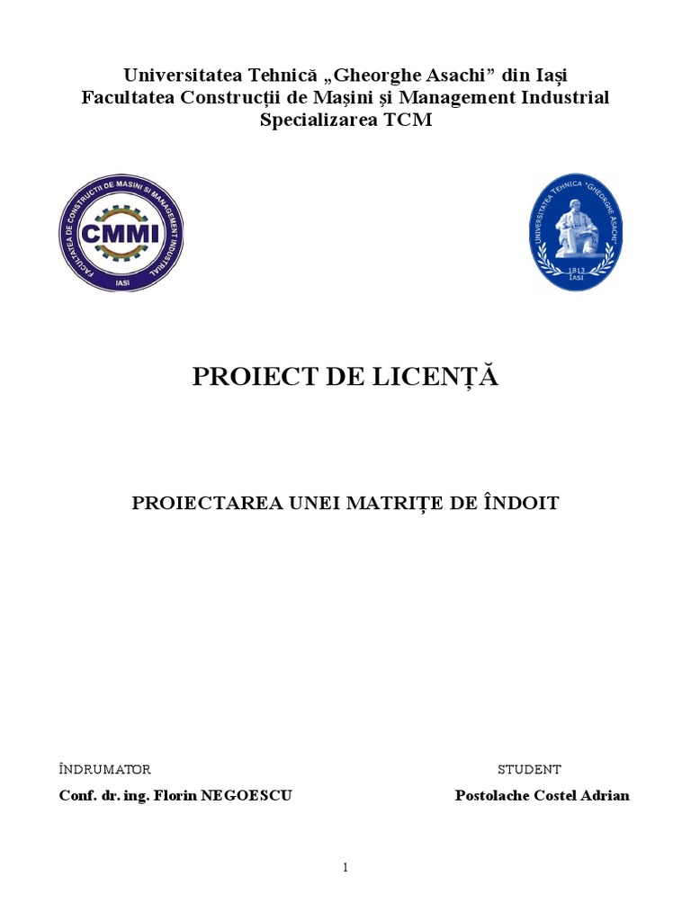 Proiect Licenta | PDF