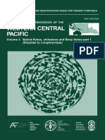 Coral Identification Guide for Divers | PDF | Coral | Coral Reef