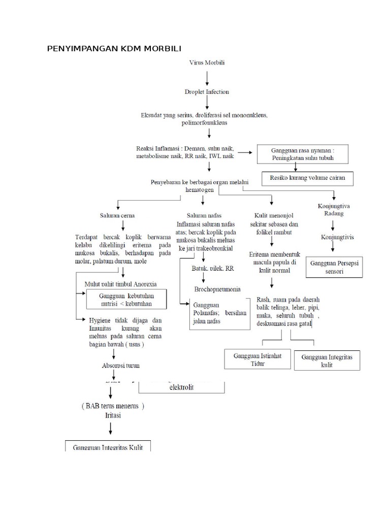 Penyimpangan KDM Morbili | PDF
