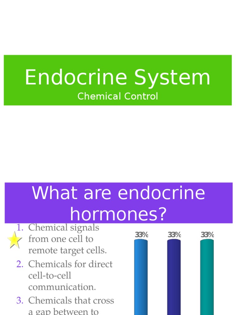 Endocrine System: Chemical Control | PDF | Hormone | Endocrine System