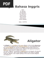 Average Weight of American Alligators | PDF | Pound (Mass) | Crocodile