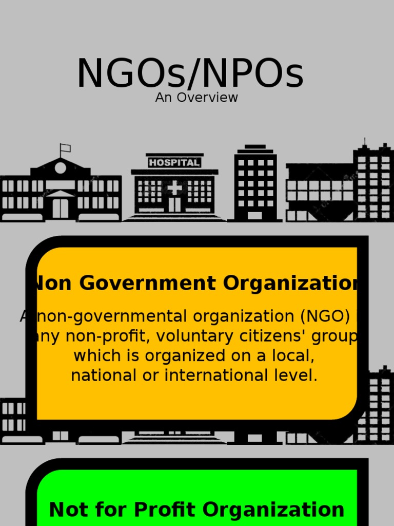 Overview of NGOs-NPOs | Nonprofit Organization | Financial Statement