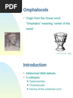 Pelvic Floor Impact Questionnaire - Short Form 7 (PFIQ-7) | PDF ...