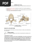 Costovertebral Angle Anatomy Overview | PDF | Vertebra | Vertebral Column