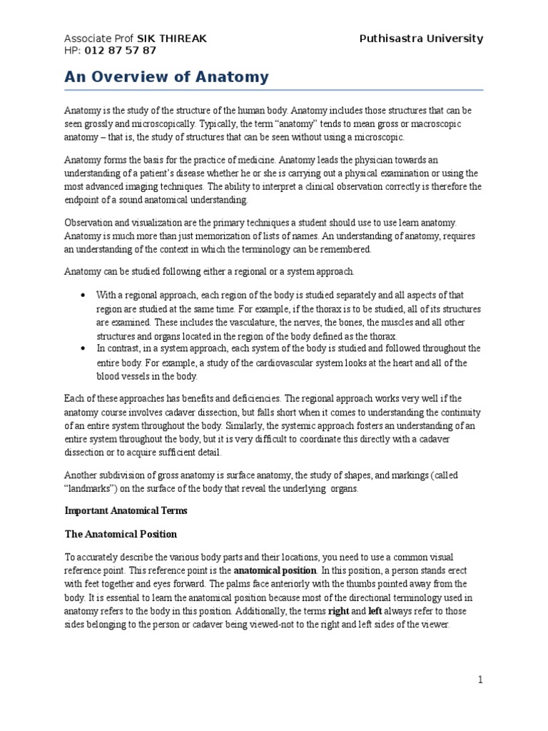 1.an Overview of Anatomy | PDF | Epithelium | Anatomical Terms Of Location