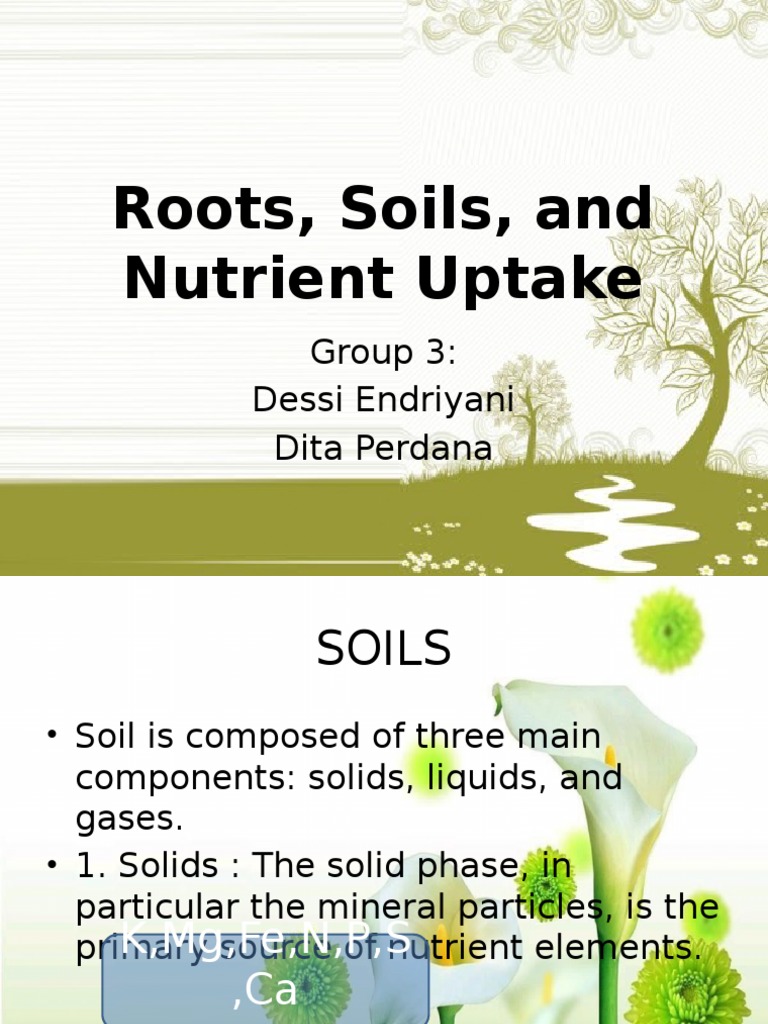 Unit 3 Roots, Soils, and Nutrient Uptake | PDF | Loam | Soil