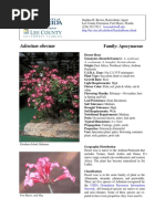 Municipal Environment & Natural Resources Office (Menro) : Project ...