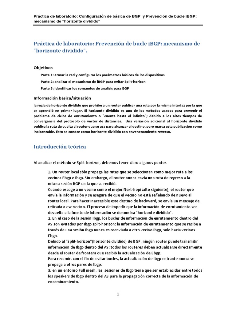 Mecanismo Split Horizon en iBGP | PDF | Enrutador (Computación) | Red ...