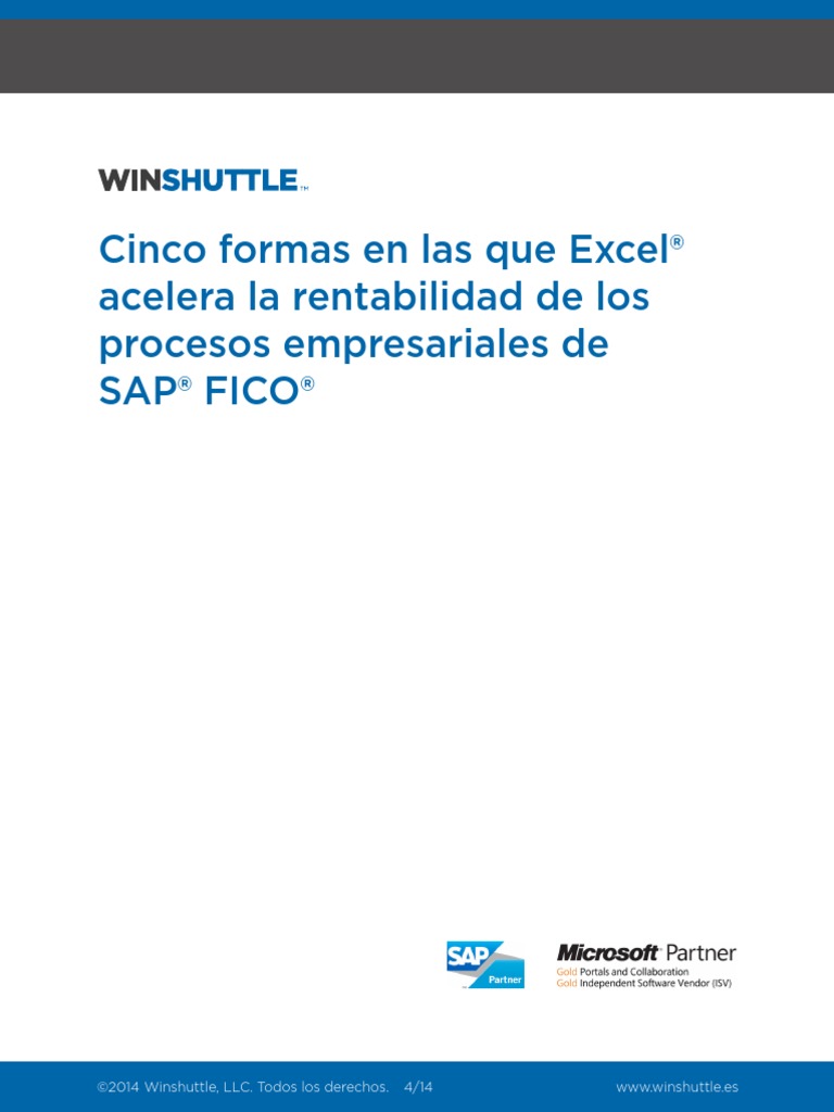 Winshuttle 5WaysExcelAcceleratesYourReturnonSAPFICOBusinessProcesses ...