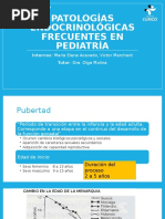 Curvas de Scammon | PDF