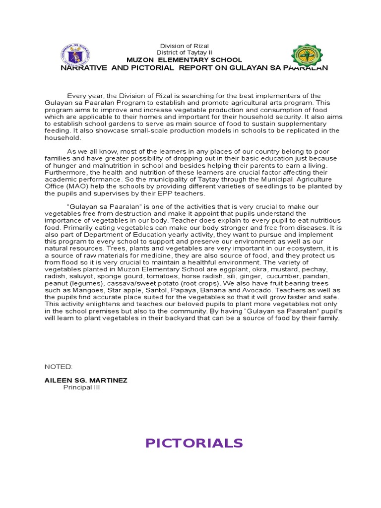 Narrative and Pictorial Report On Gulayan Sa Paaralan | PDF ...