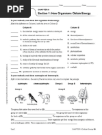 Electron Shells Worksheet | PDF | Technology & Engineering | Young Adult