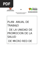 Plan Anual Refcon | PDF