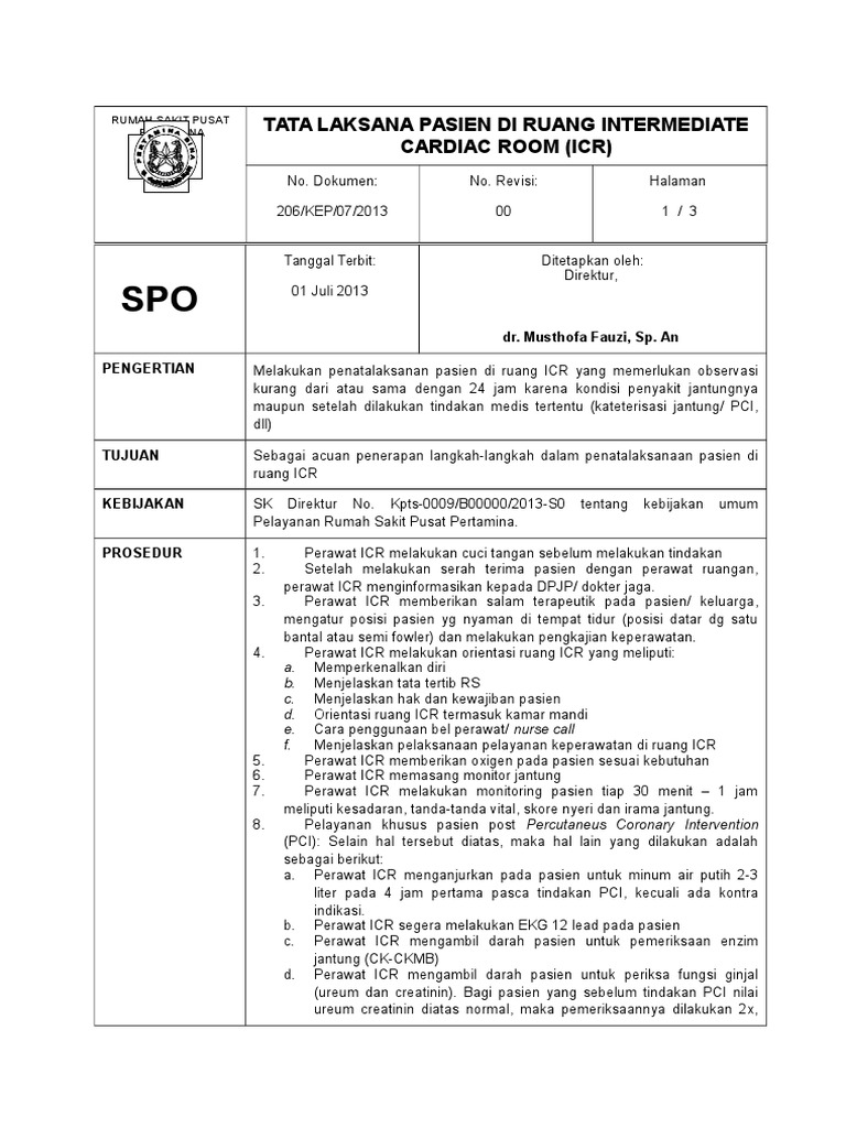 SPO Tata Laksana Pasien Di Ruang ICR | PDF