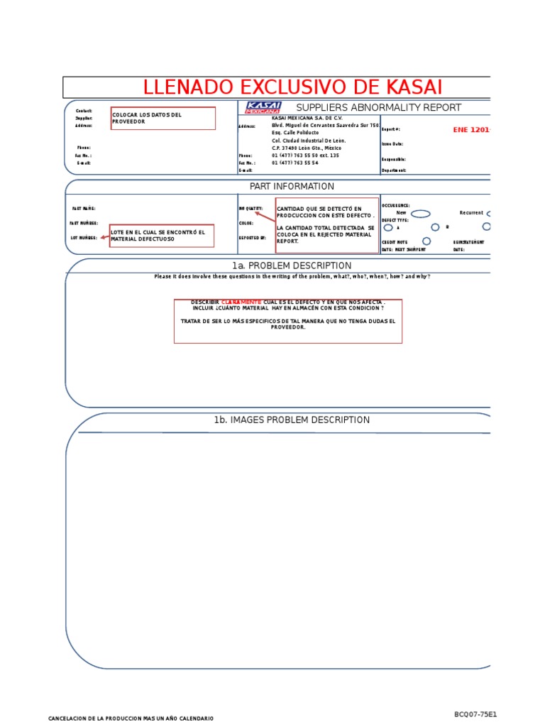 Suppliers Abnormality Report | PDF