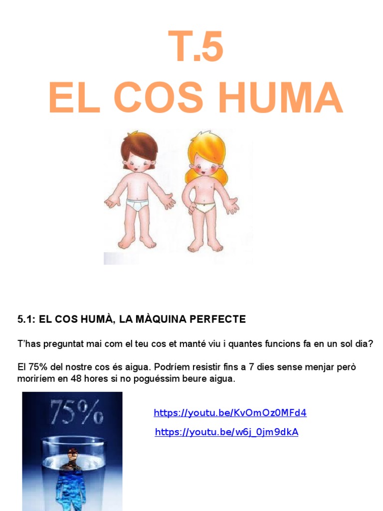 Tema 5 El Cos Humà | PDF