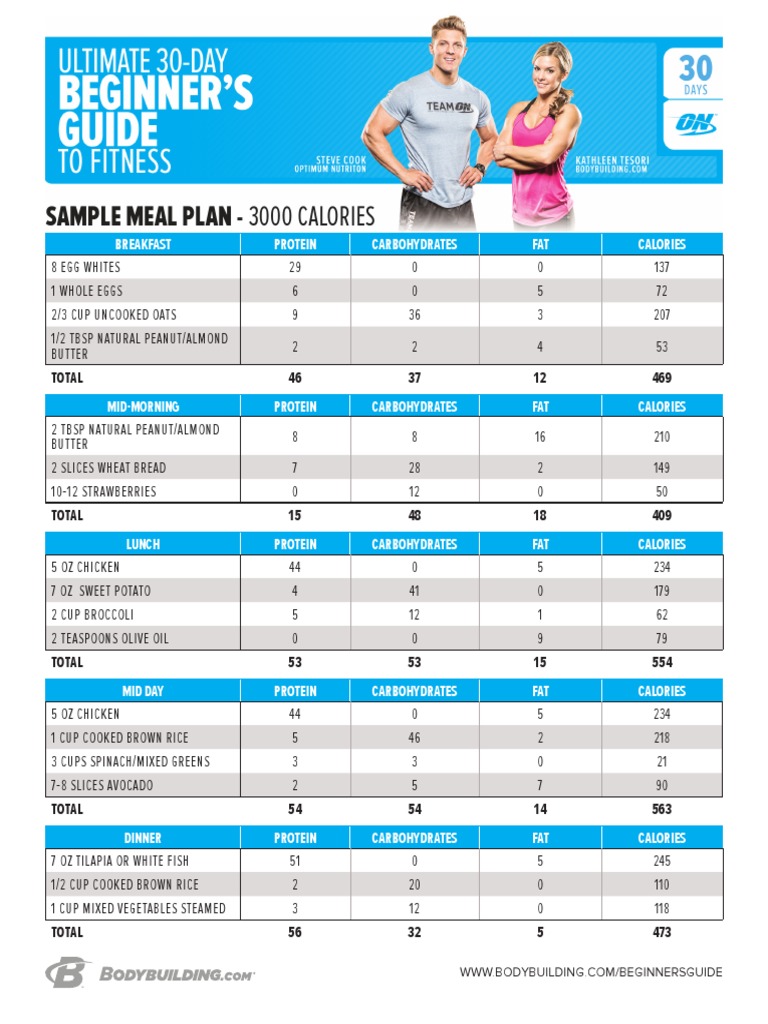 30 Day Beginner Guide 3000 Meal Plan | PDF | Food And Drink | Cuisine