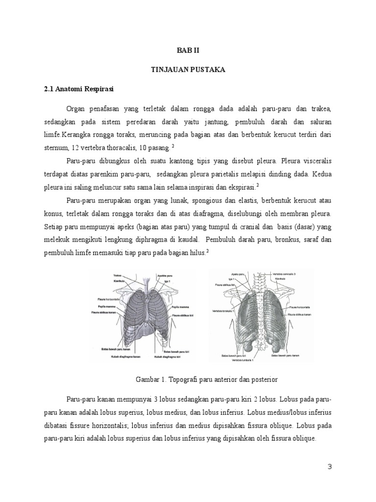Bab II Tinpus Fix | PDF