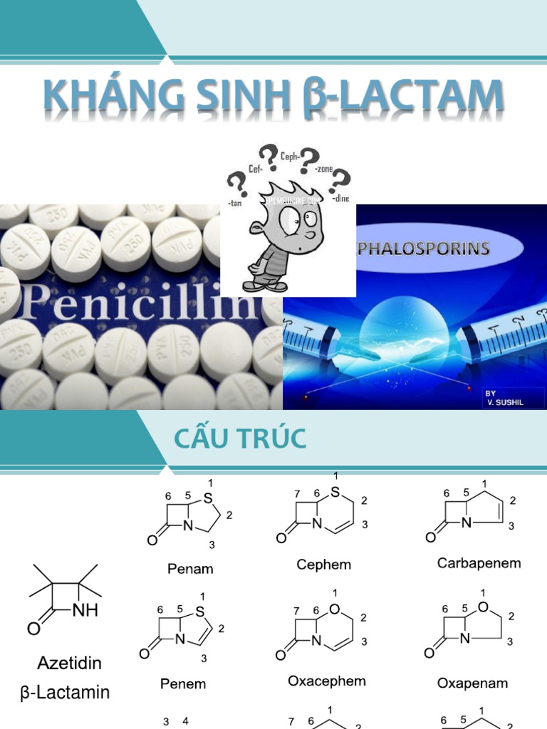 Kh_ng Sinh Beta-lactam