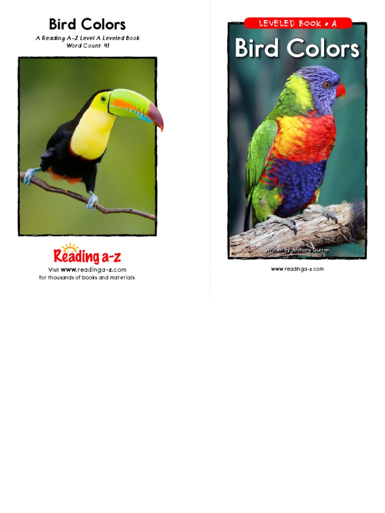 Bird Color | PDF
