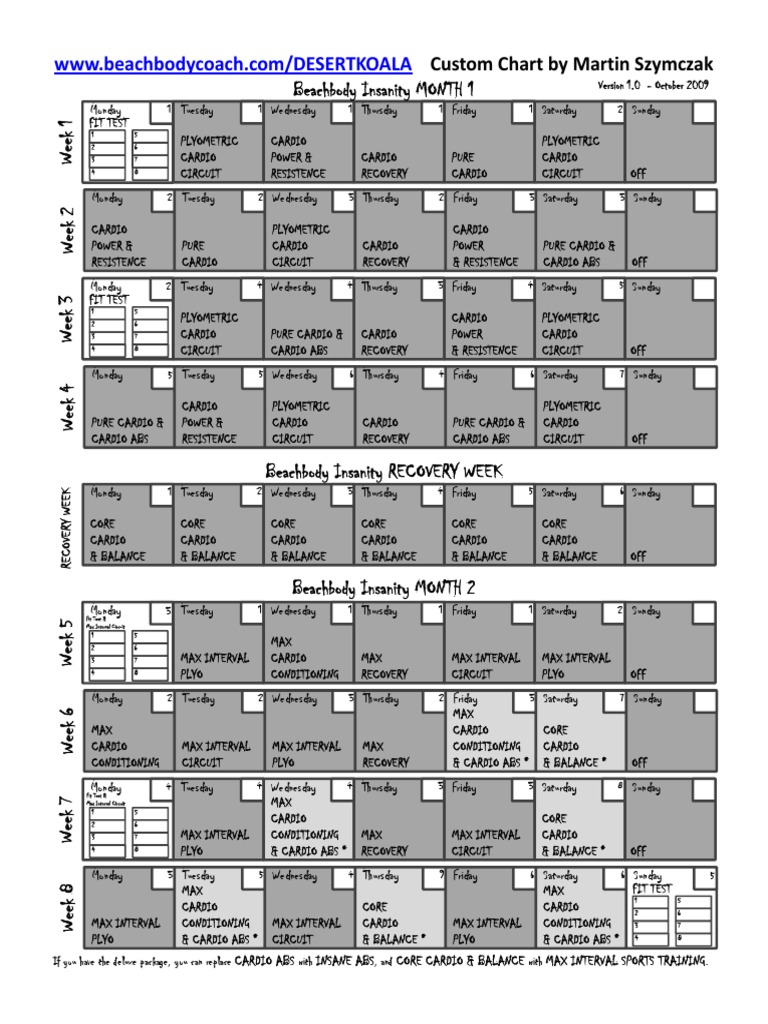 Insanity Printable Calendar For Recording Results PDF | PDF | Sports ...