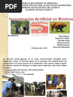 Anatomía y Fisiología Anorectal | PDF | Recto | Sistema digestivo