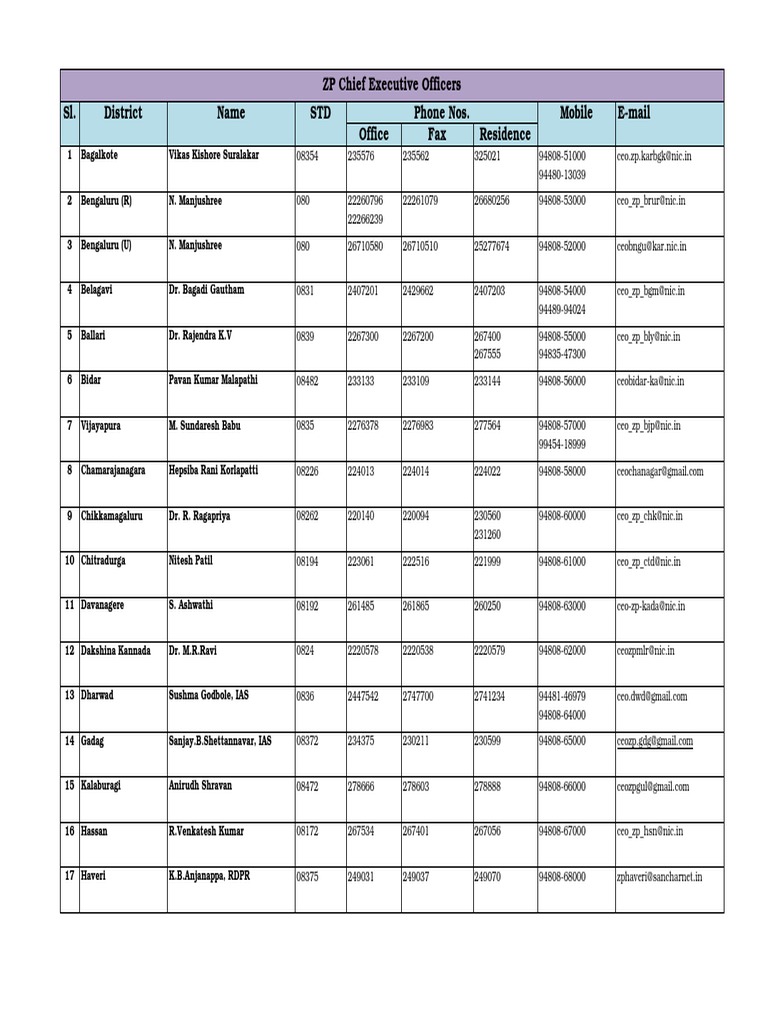 CEO List PDF | PDF