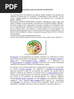 Check Up Básico Q45 en Chopo | PDF