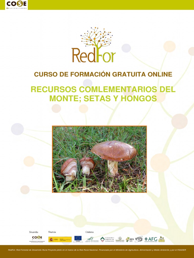 Setas y Hongos PDF | PDF | Hongo | Espora