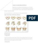 Four Types of Pelvis Explained | PDF | Pelvis | Anatomy