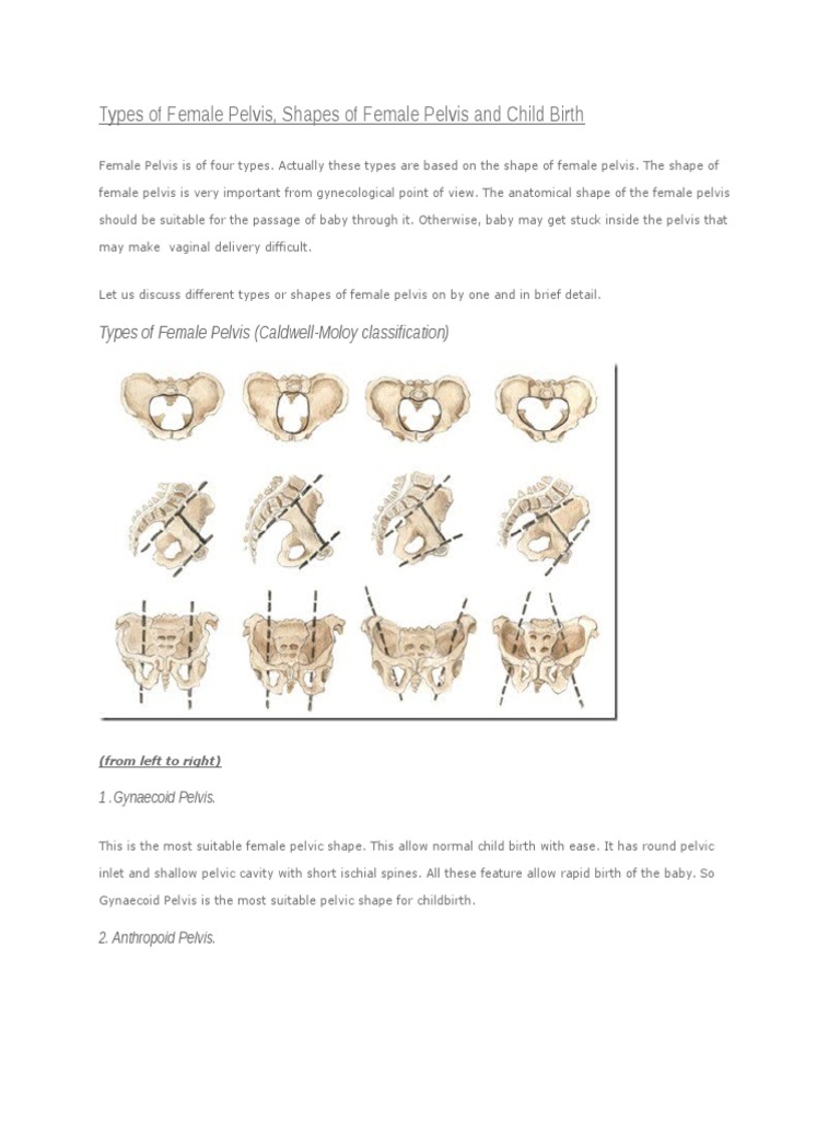 Types of Female Pelvis | Pelvis | Childbirth