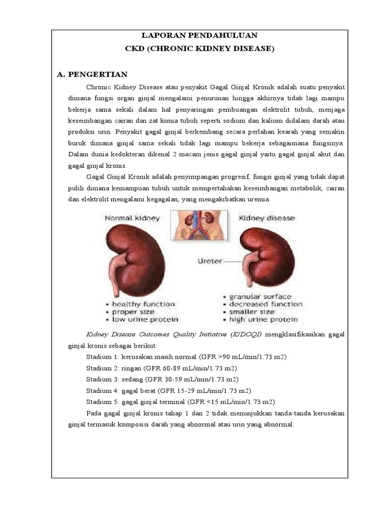 LP CKD | PDF