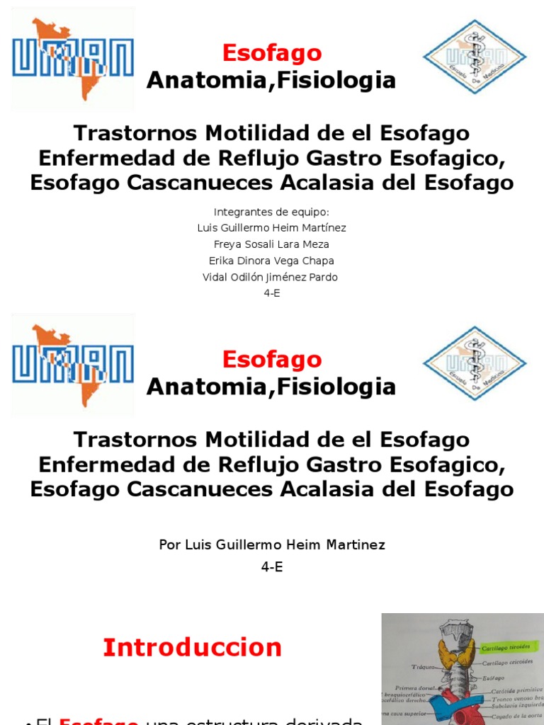 Cap - 70,71,72,73 y 74 Cirugia Enfermedad de ERGE Esofago Cascanueces ...