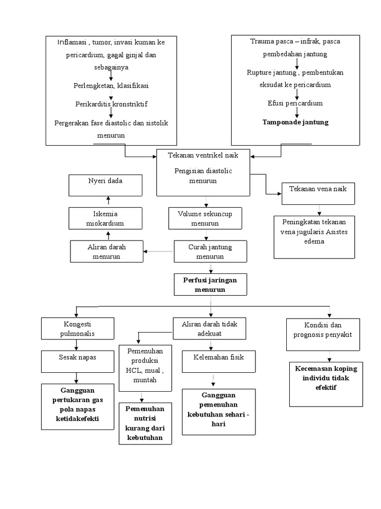 Woc Perikarditis | PDF