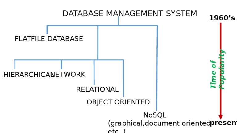 Evolution of DBMS: 1960s Overview | PDF