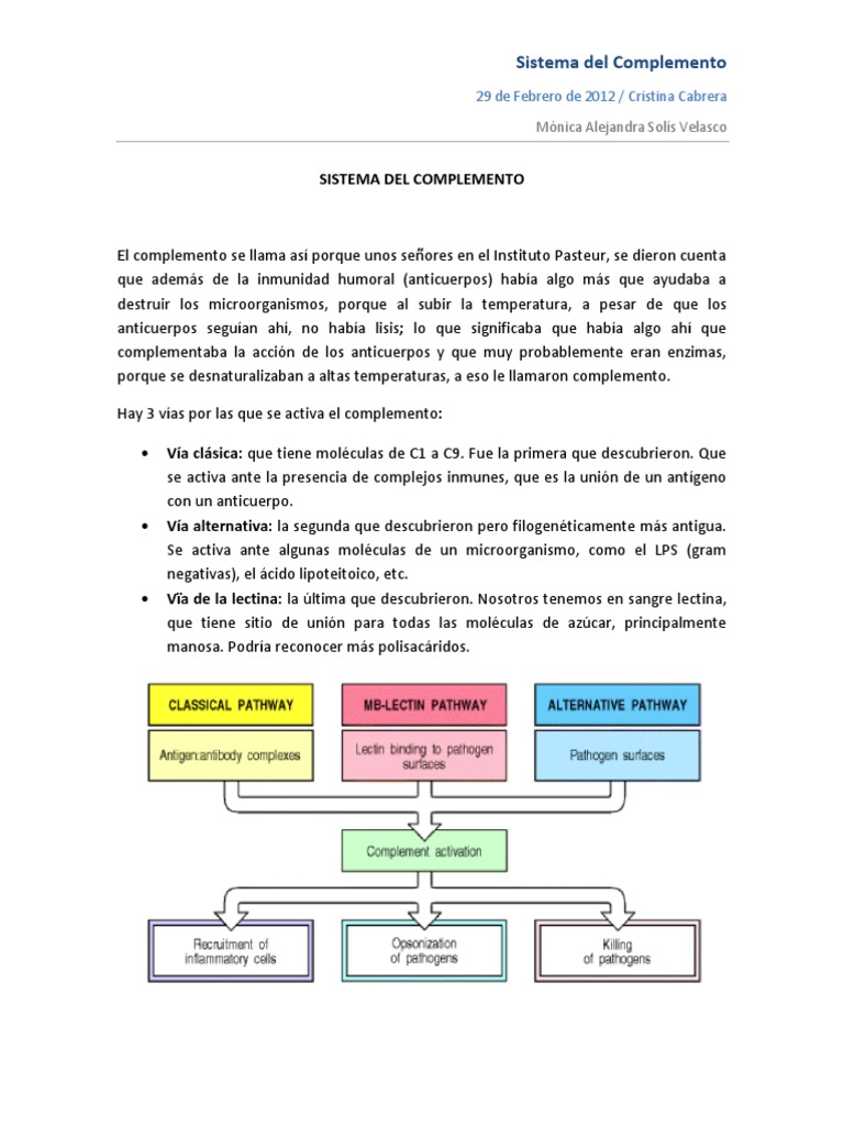 Sistema Del Complemento | PDF | Sistema complementario | Biologia de sistemas