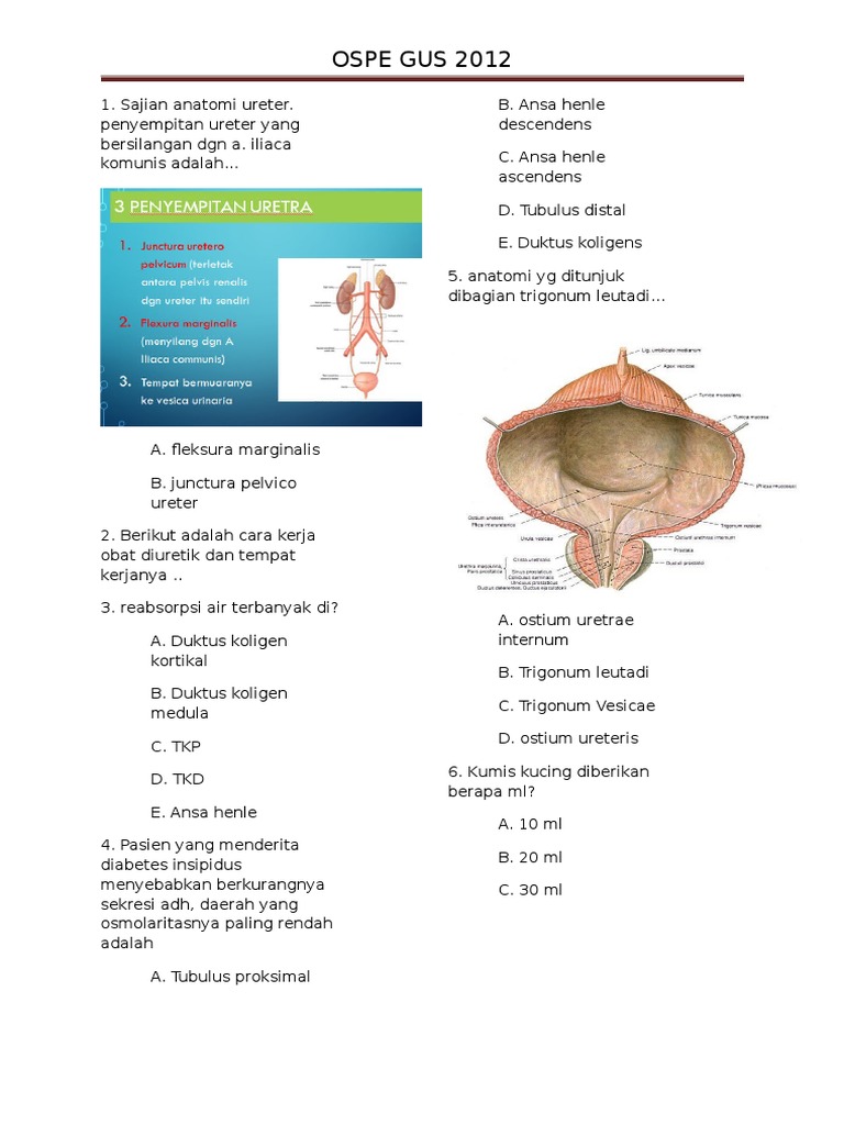 Soal Ospe Gus | PDF