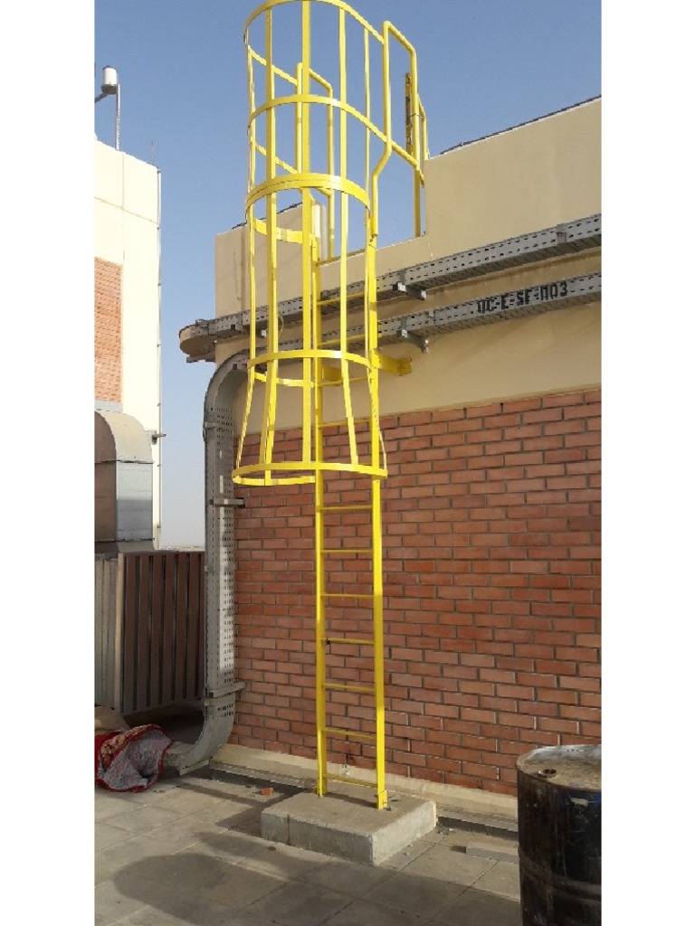 Monkey Ladder Site Photo | PDF