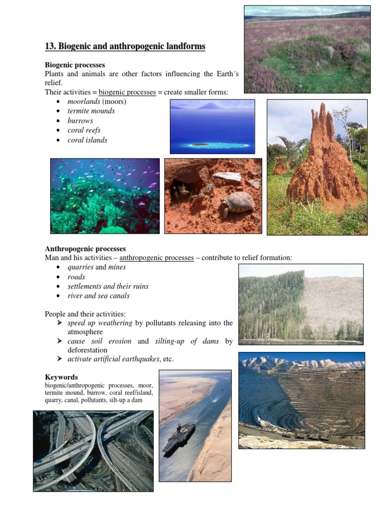 Biogenic and Anthropogenic Landforms | PDF