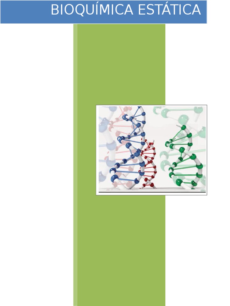 Bioquimica Estática Modulo Vitaminas | PDF | Relaciones personales ...