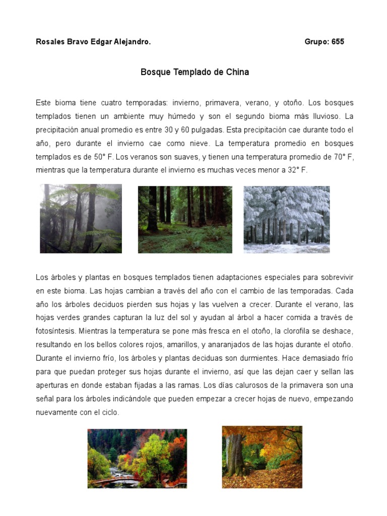 Bioma Bosque Templado de China | PDF | Los bosques | Arboles