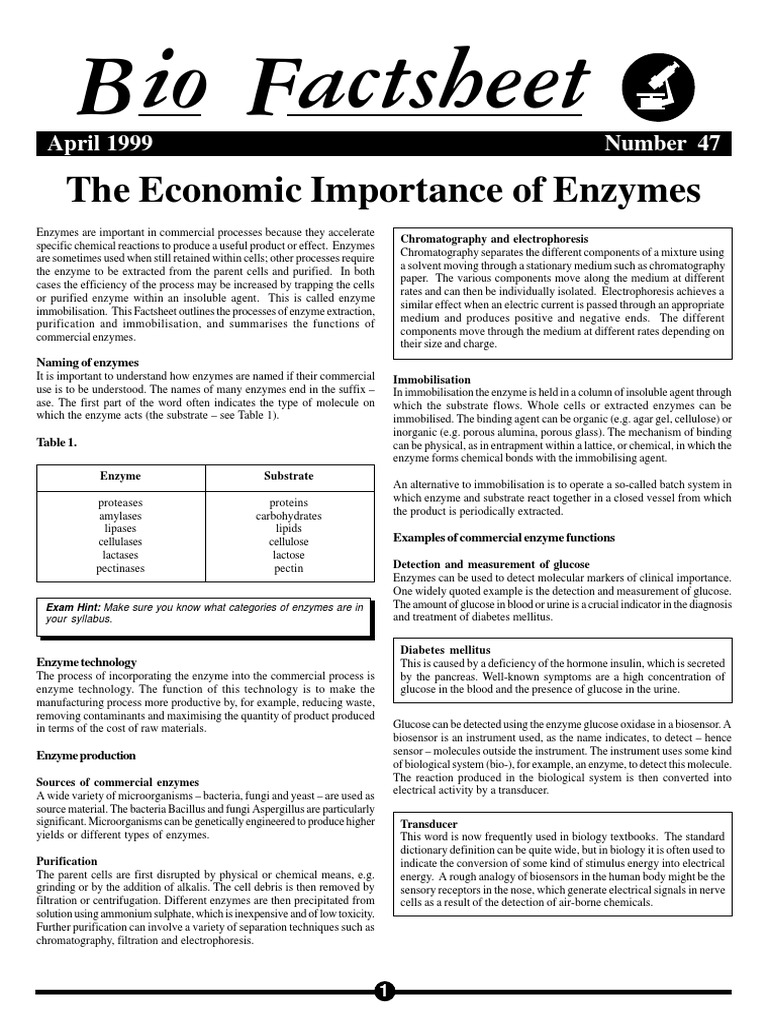 Bio Factsheet: The Economic Importance of Enzymes | PDF