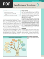 Glossary of Podiatry Terms | PDF | Toe | Foot