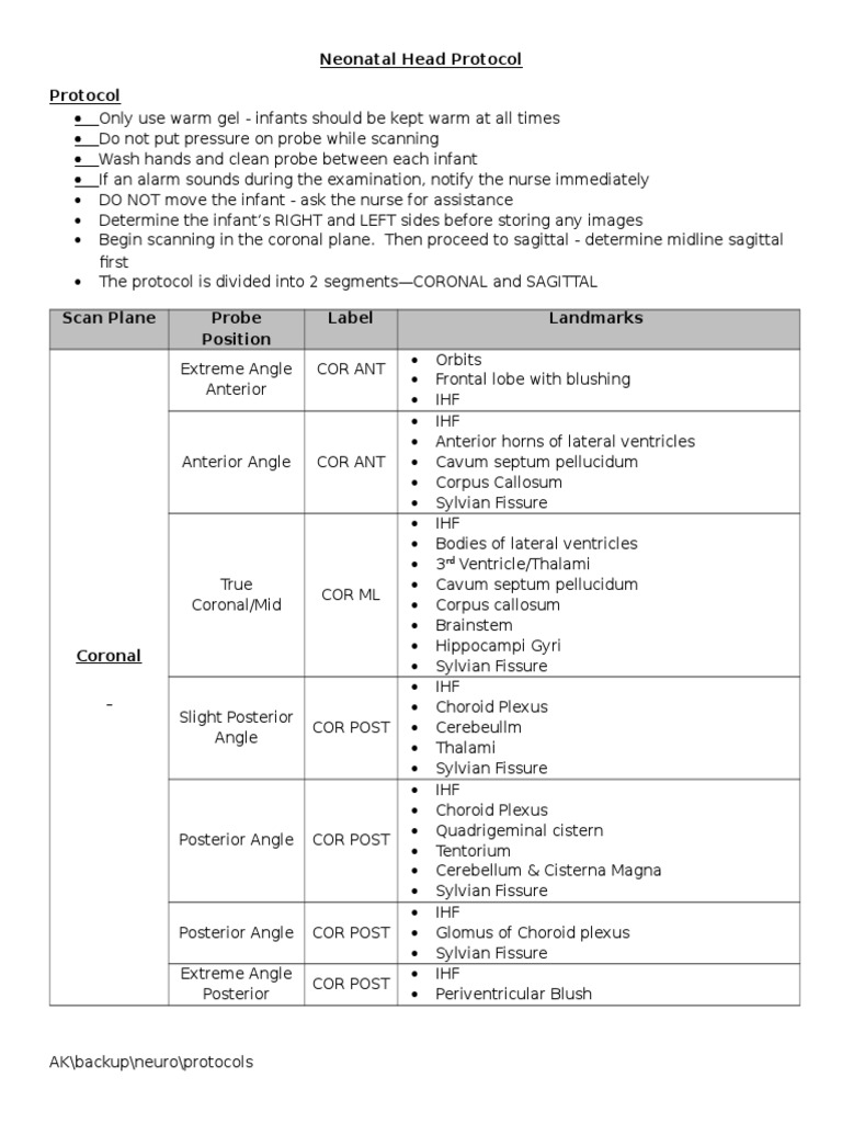 Neonatal Head Protocol 14 | PDF | Nervous System | Organ (Anatomy)