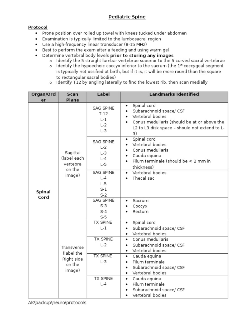 Pediatric Spine 14 | PDF | Vertebral Column | Spinal Cord